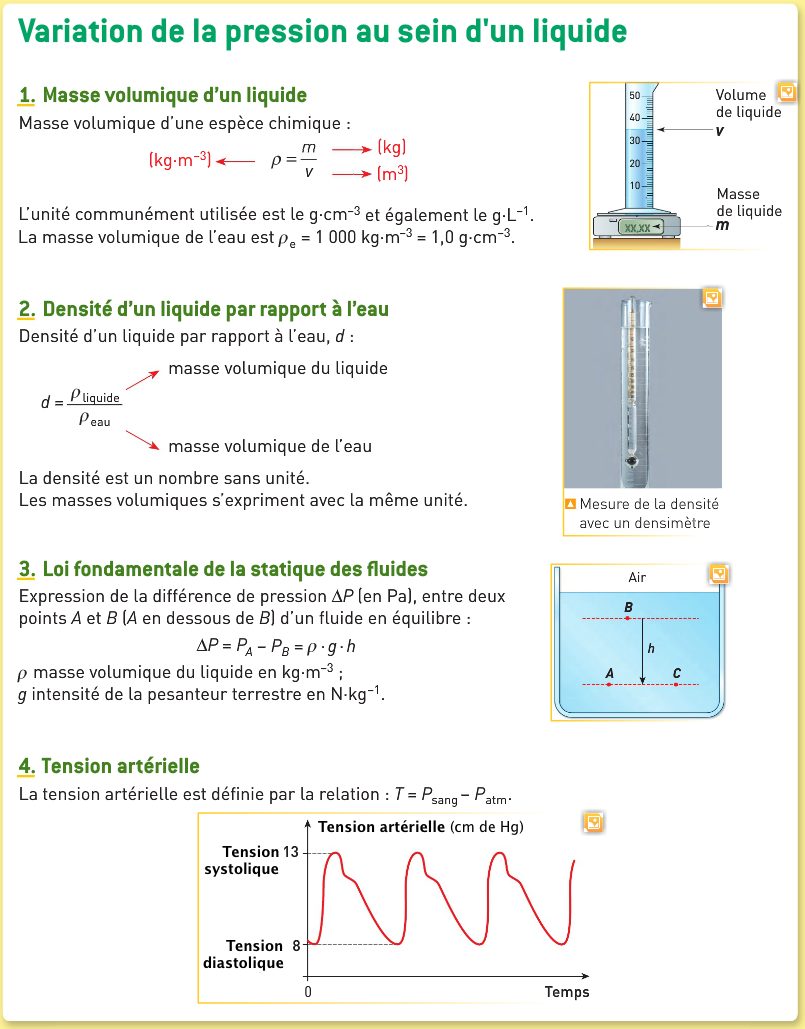 Physique -Pression et circulation sanguine